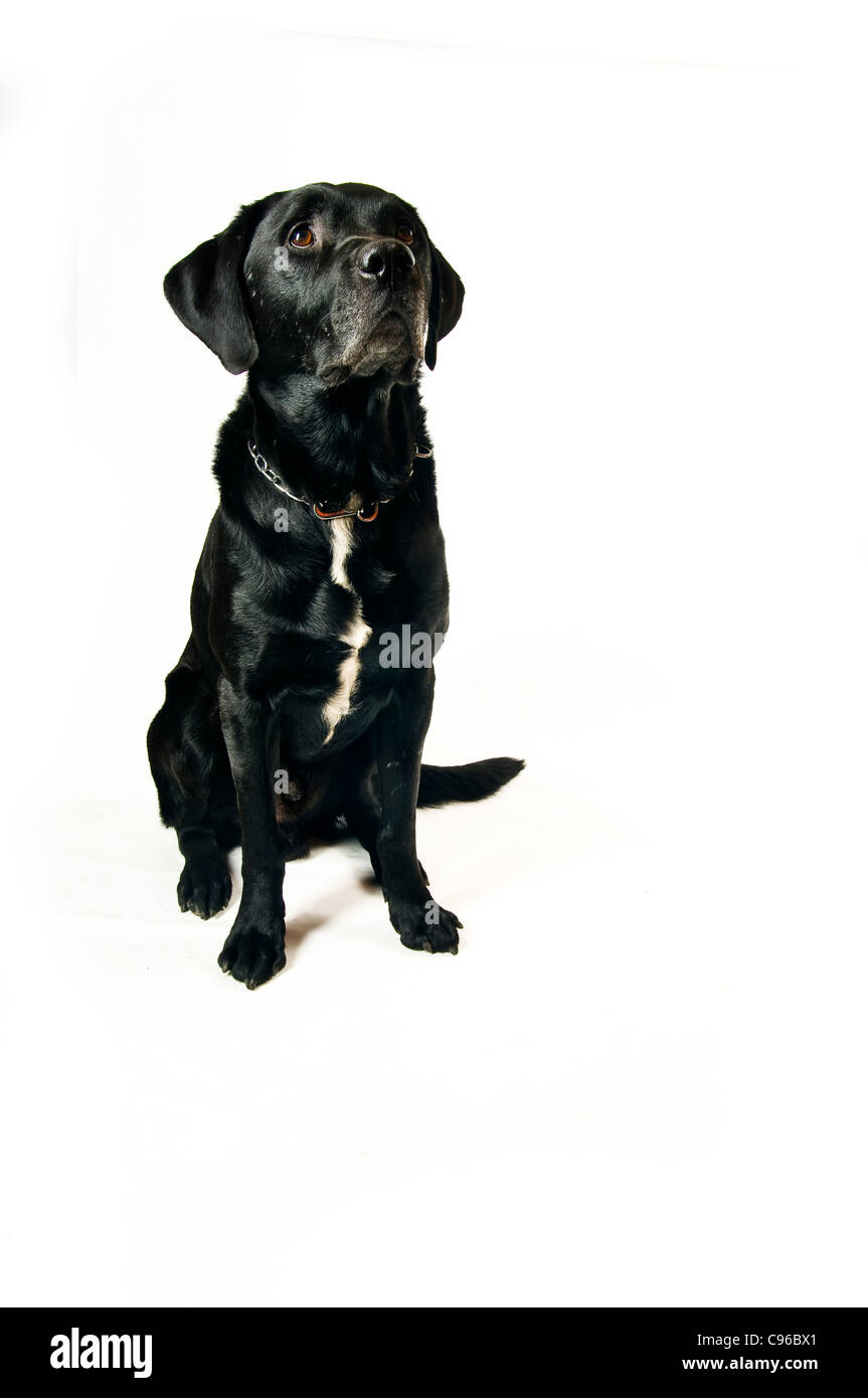 Brilliant mix hi-res stock photography and images - Alamy