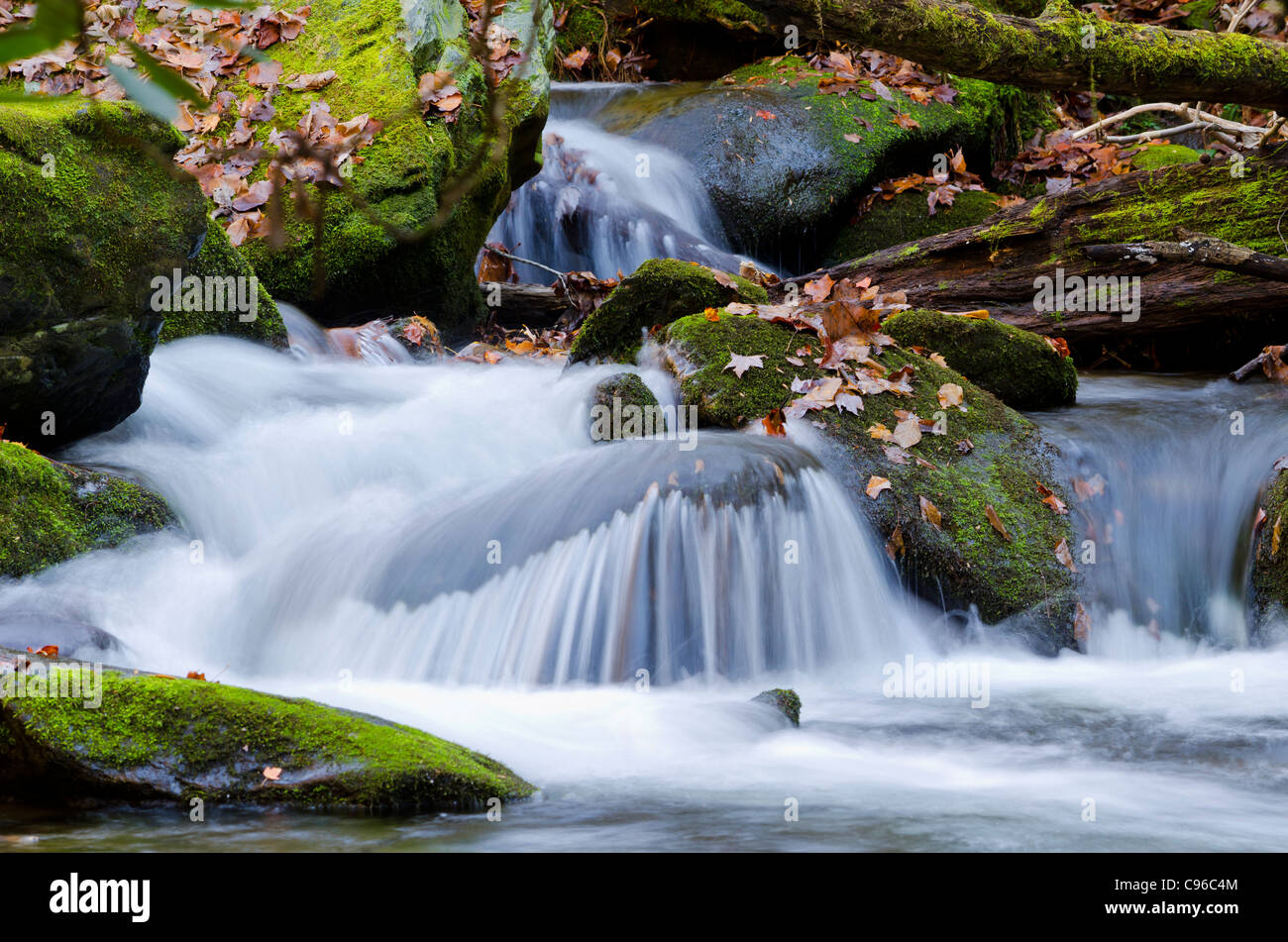 A stream flowing down a mountain Stock Photo - Alamy