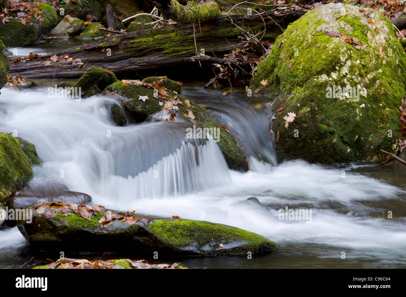 A stream flowing down a mountain in the Smokies Stock Photo - Alamy