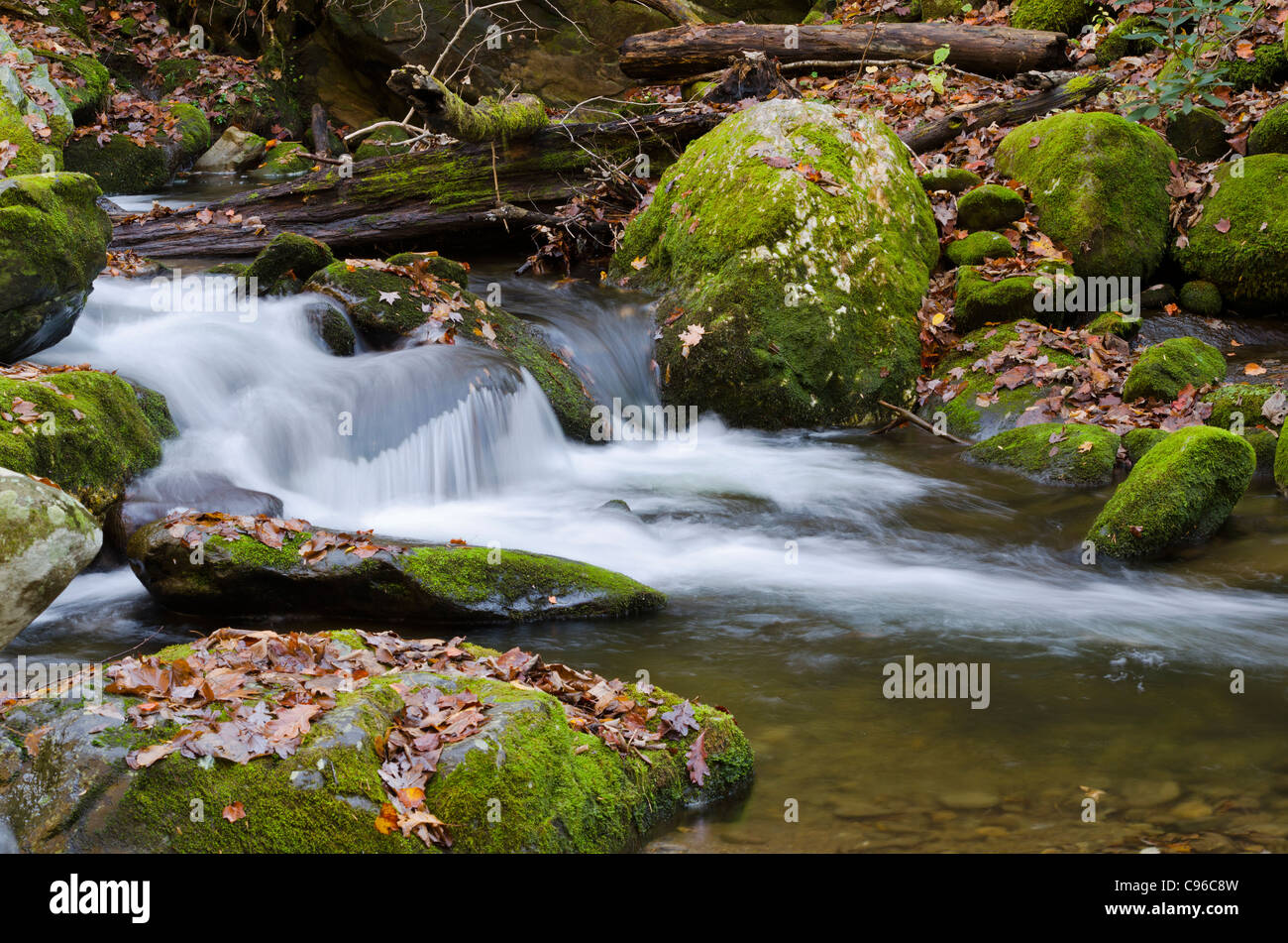 Stream flowing down a mountain hi-res stock photography and images - Alamy