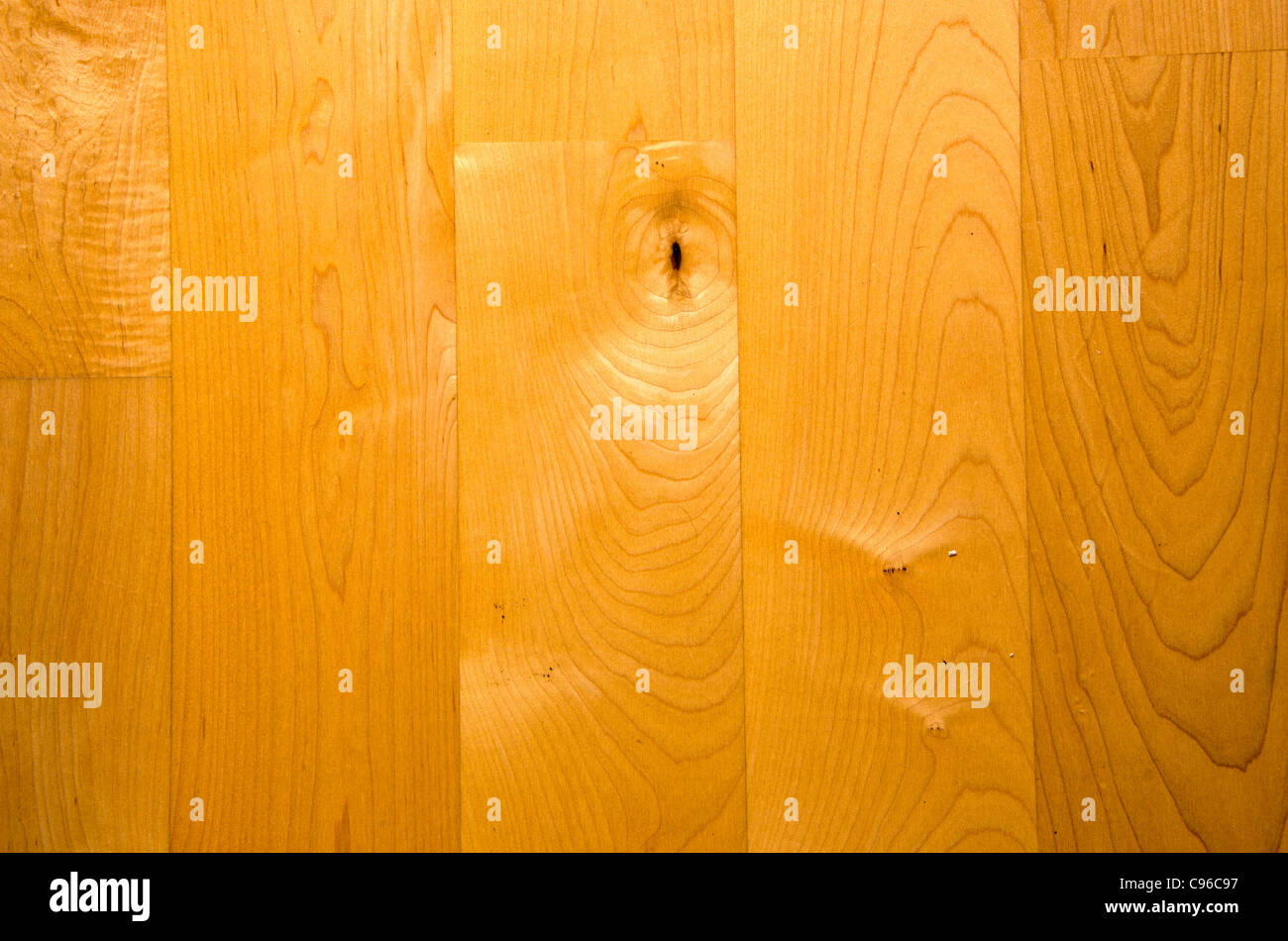 Canadian Maple Tree Wood