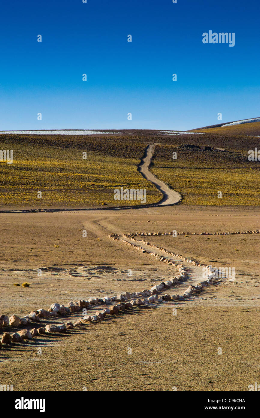 Altiplano chileno hi-res stock photography and images - Alamy