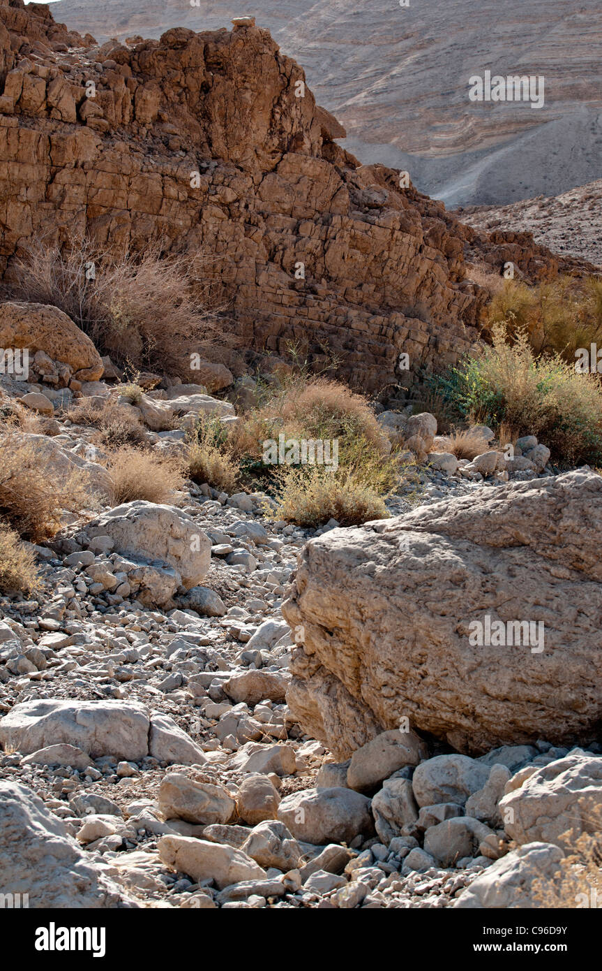 The Judean Desert ,South of Jerusalem Stock Photo - Alamy