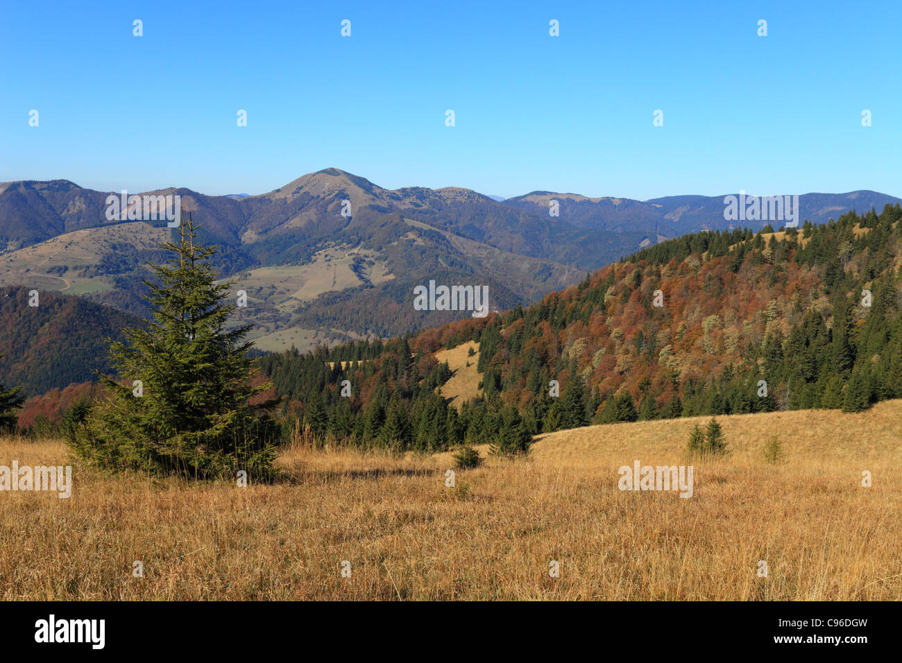 Velka luka hi-res stock photography and images - Alamy