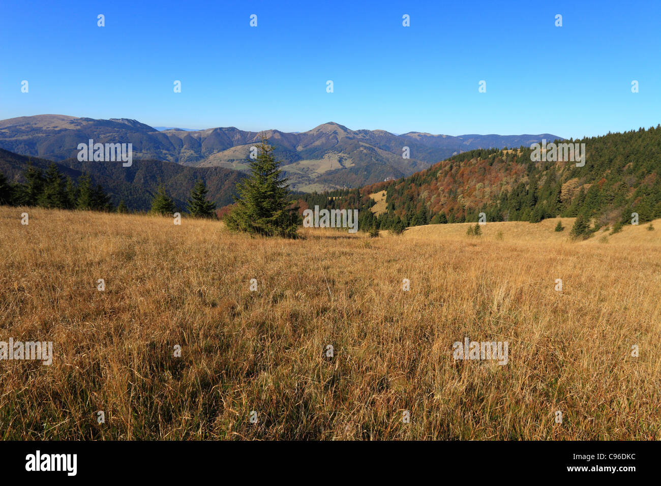 Velka luka hi-res stock photography and images - Alamy
