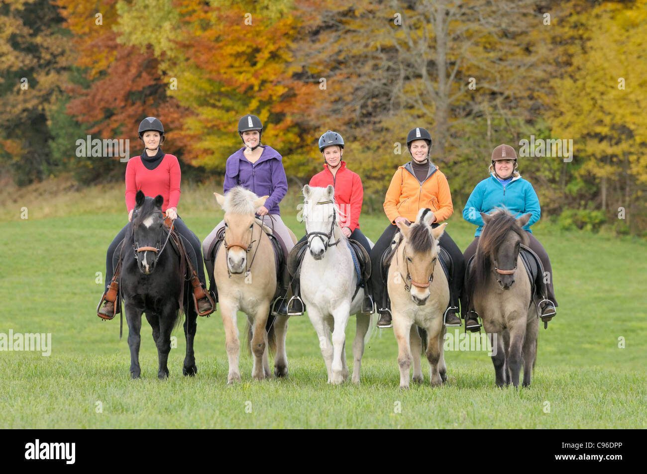Five riders on back of various ponies during a ride out in autumn Stock ...
