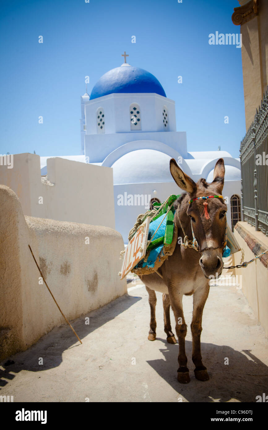 Traditional Greek Church and donkey Stock Photo - Alamy