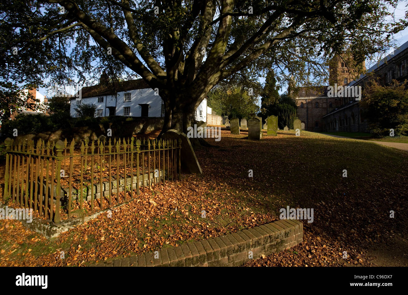 St Albans Abbey and Graveyard Hertfordshire England UK Stock Photo - Alamy