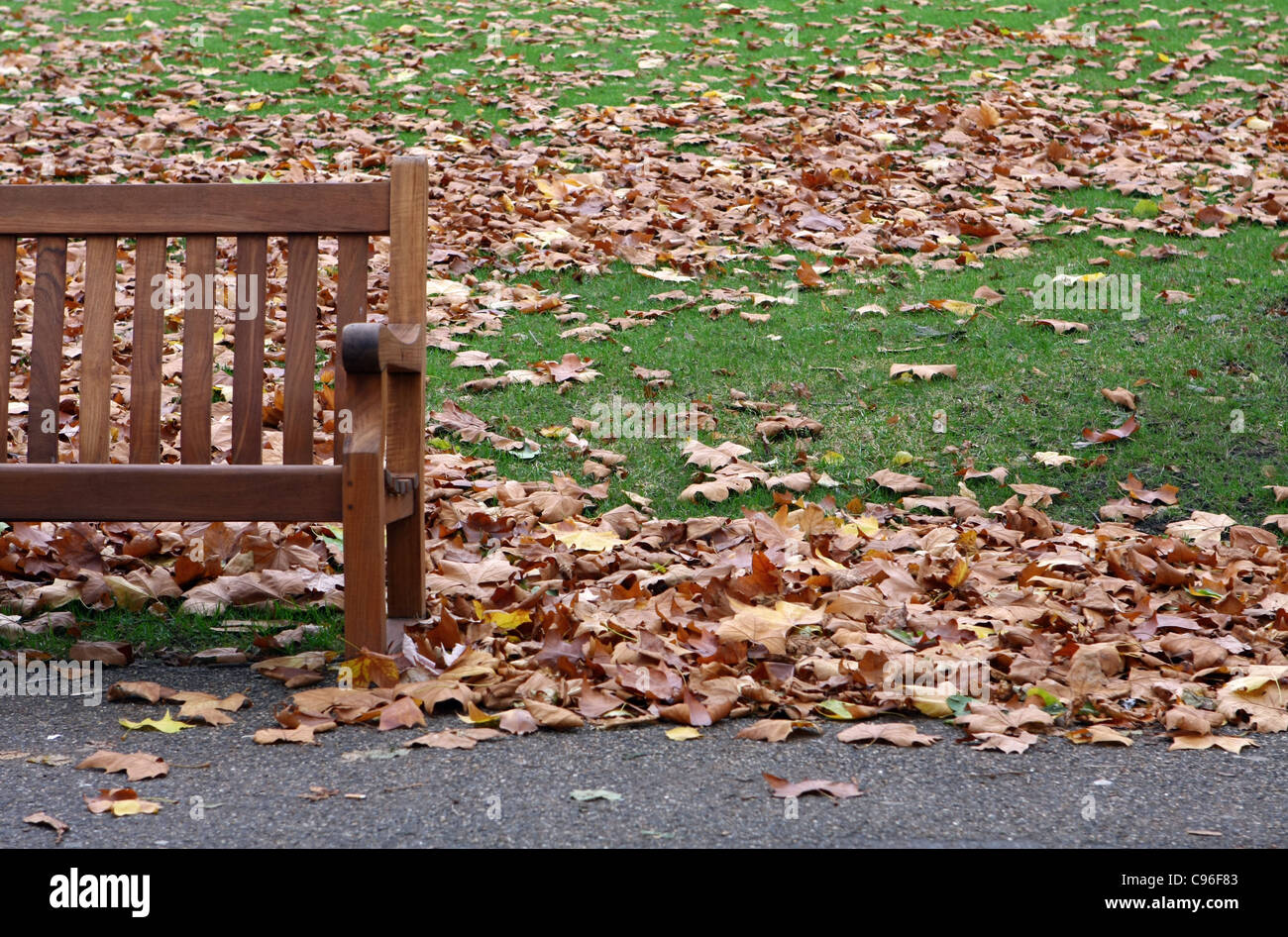 part of an empty wooden bench amongst fallen leaves in a park on a dull ...
