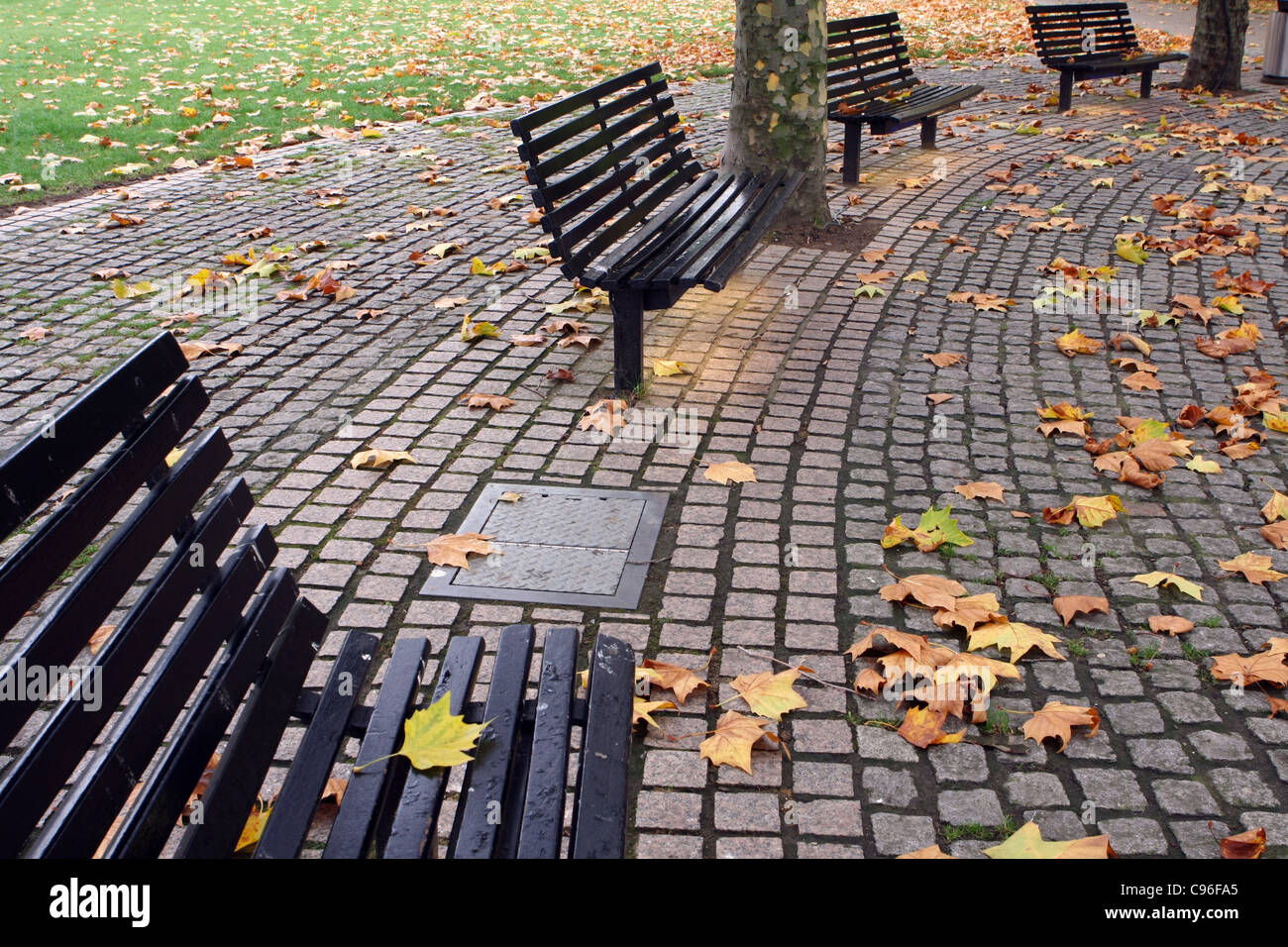 Scattered Trunks High Resolution Stock Photography and Images - Alamy