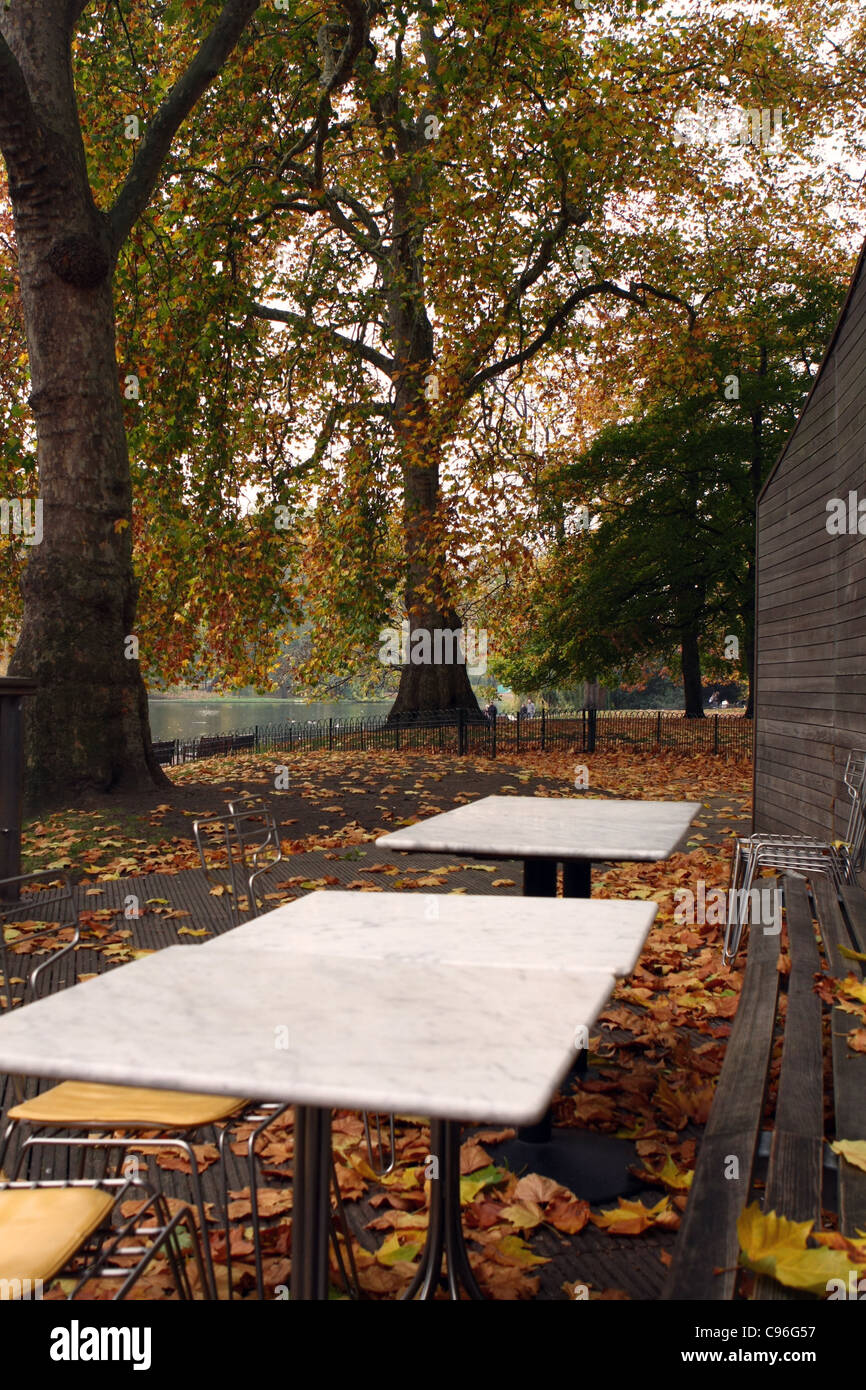an autumnal scene with empty tables, bench and chairs amongst fallen ...