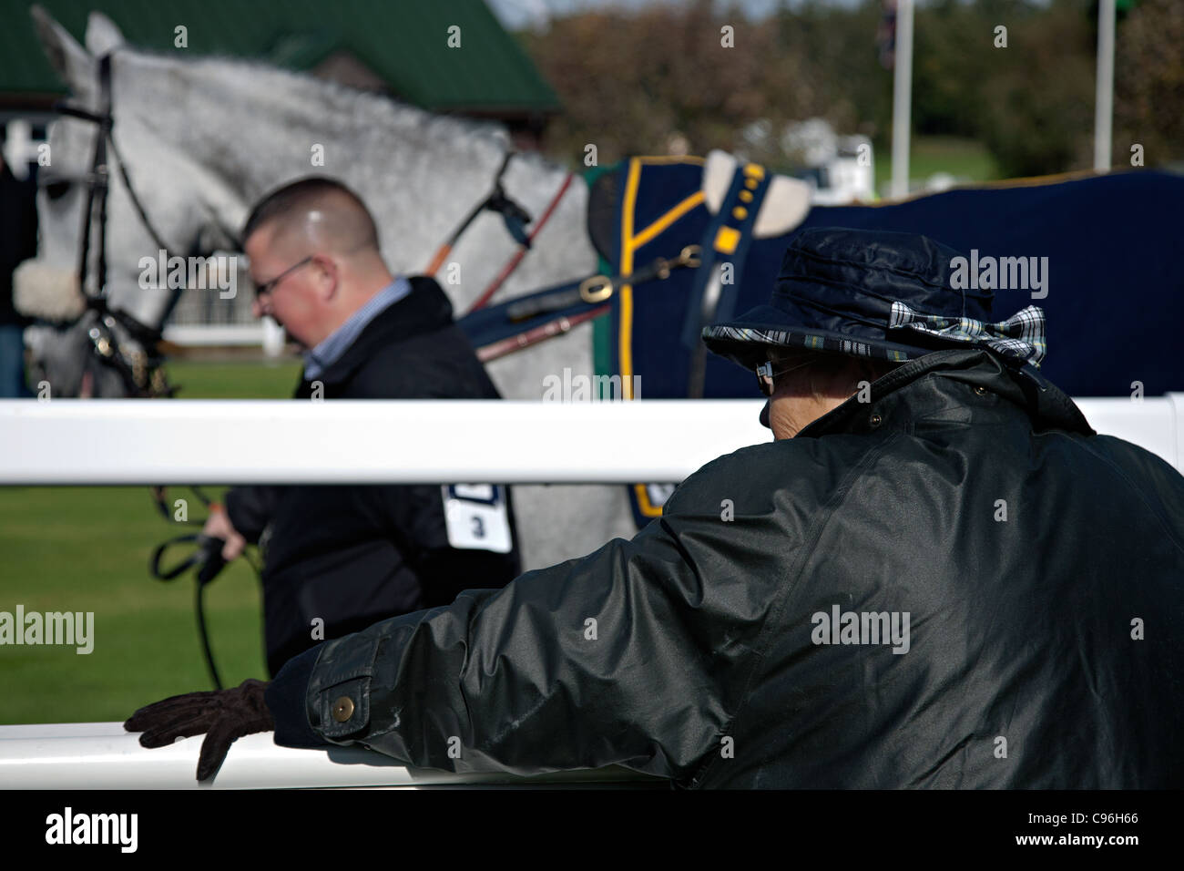 Perth racecourse scotland hi-res stock photography and images - Alamy