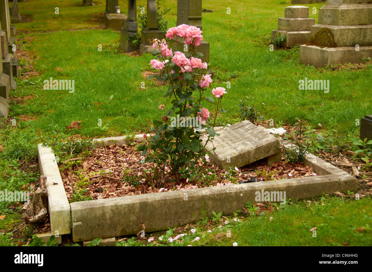 Gravestone in a graveyard Stock Photo - Alamy