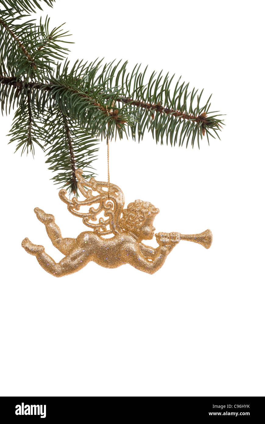 Golden angel trumpet hi-res stock photography and images - Alamy