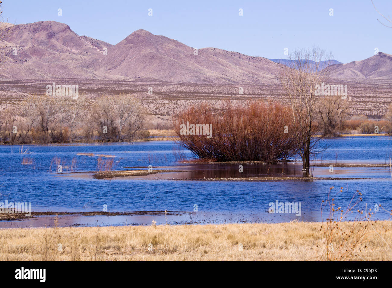 Bosque del national wildlife preserve hi-res stock photography and ...
