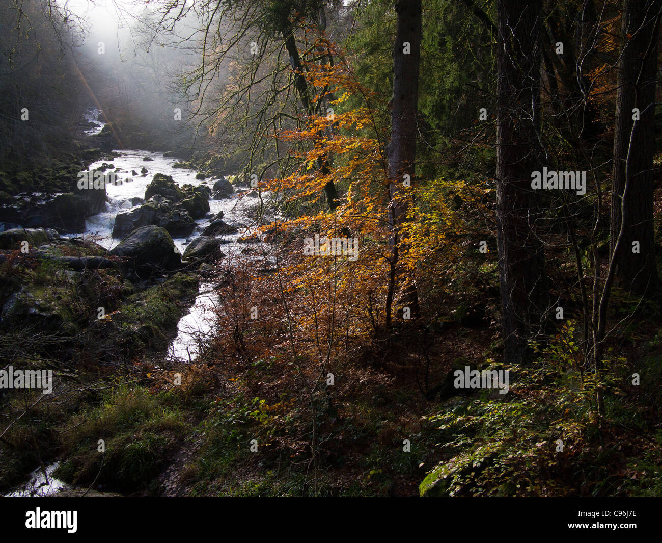 River Braan, Dunkeld, Scotland Stock Photo - Alamy