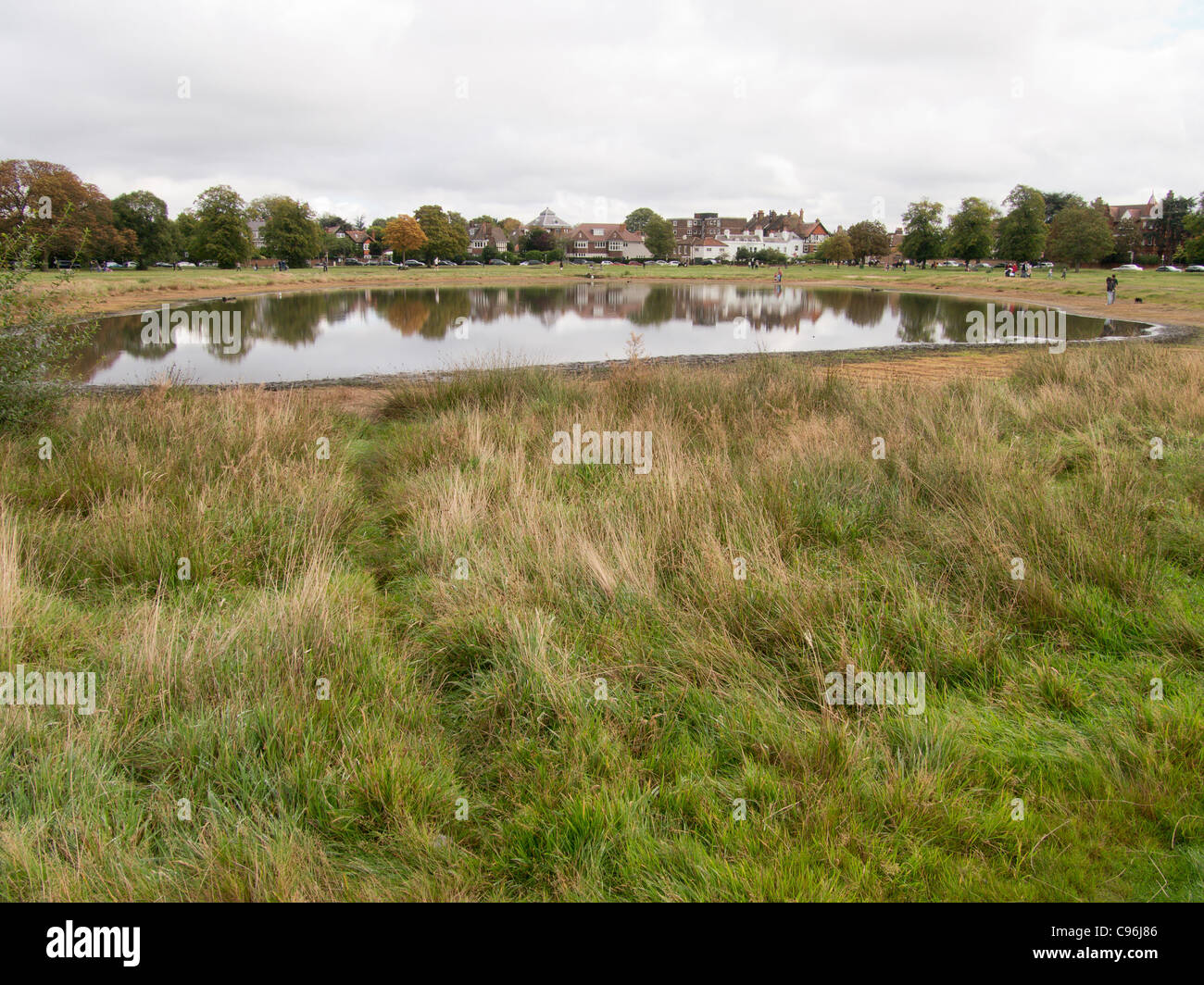 Rushmere pond wimbledon common hi-res stock photography and images - Alamy