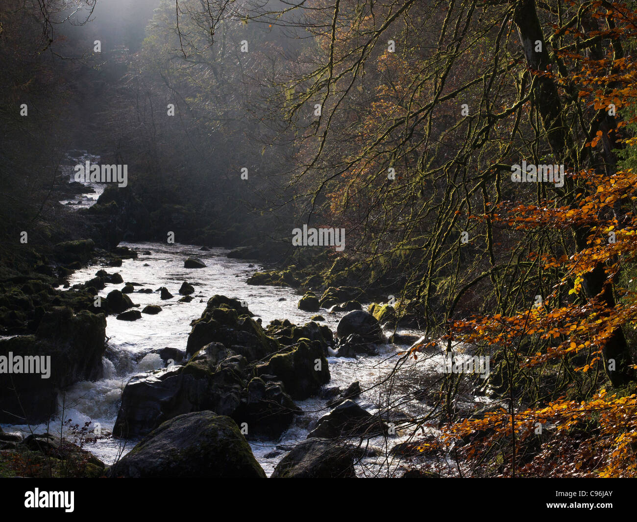River Braan, Dunkeld, Scotland Stock Photo - Alamy