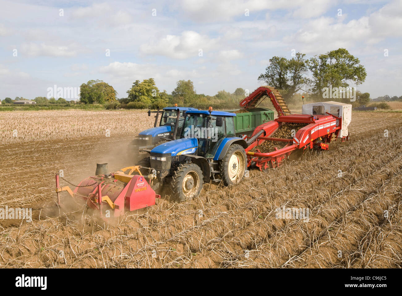 Lifting Potatoes in Lincolnshire Stock Photo - Alamy