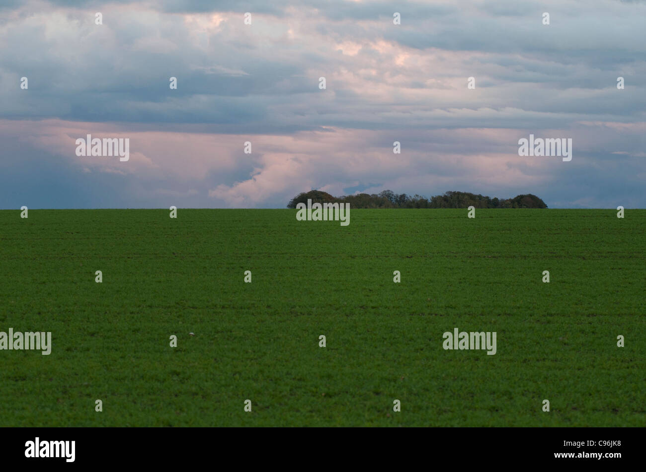 Red clouds ower a farming landscape with a grove Stock Photo - Alamy