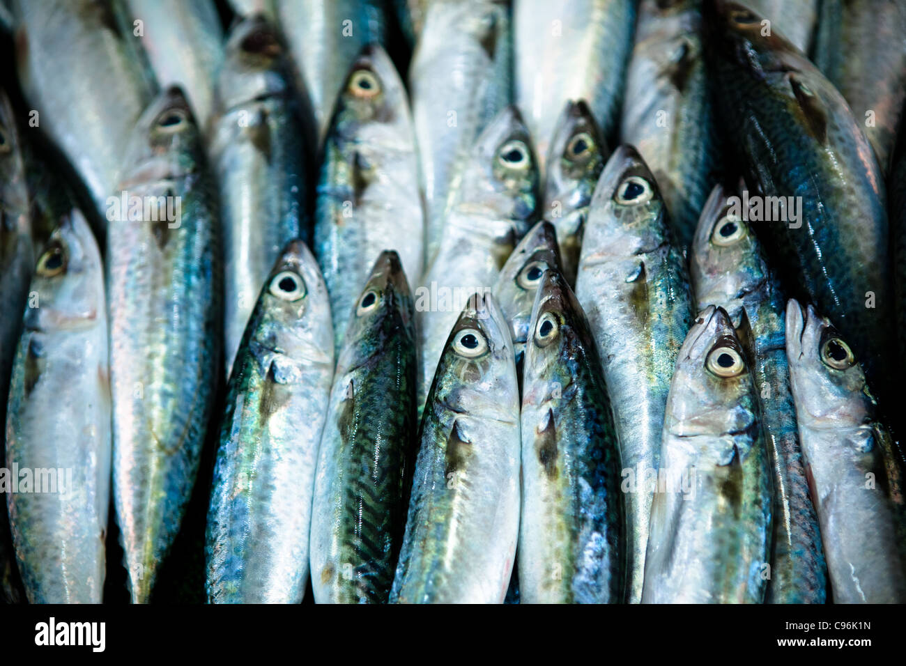 Fresh fish for sale Stock Photo - Alamy