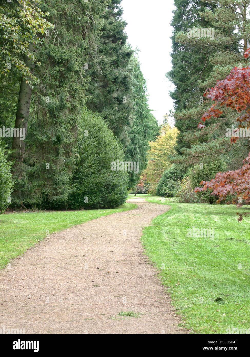A woodland path through trees with autumn coloured leaves Stock Photo ...