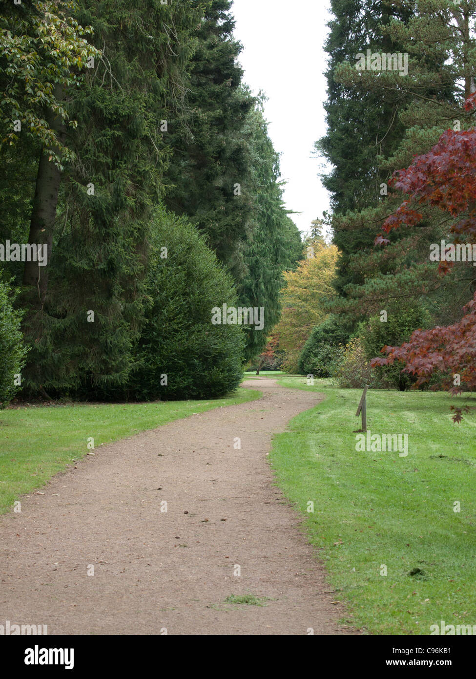 A woodland path through trees with autumn coloured leaves Stock Photo ...