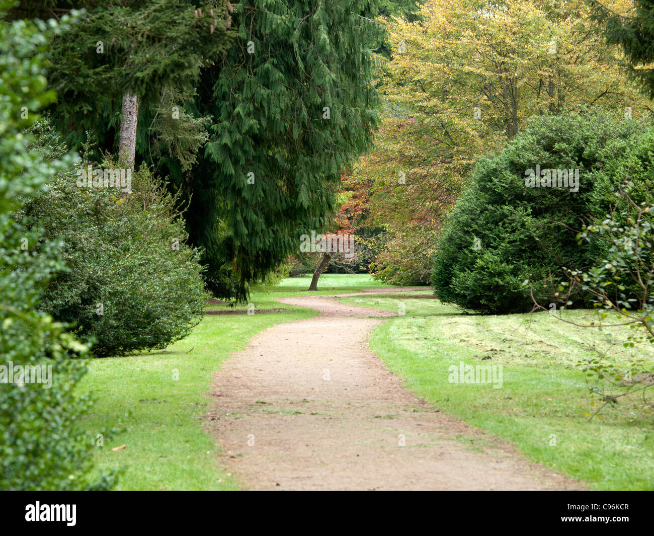 A woodland path through trees with autumn coloured leaves including a ...