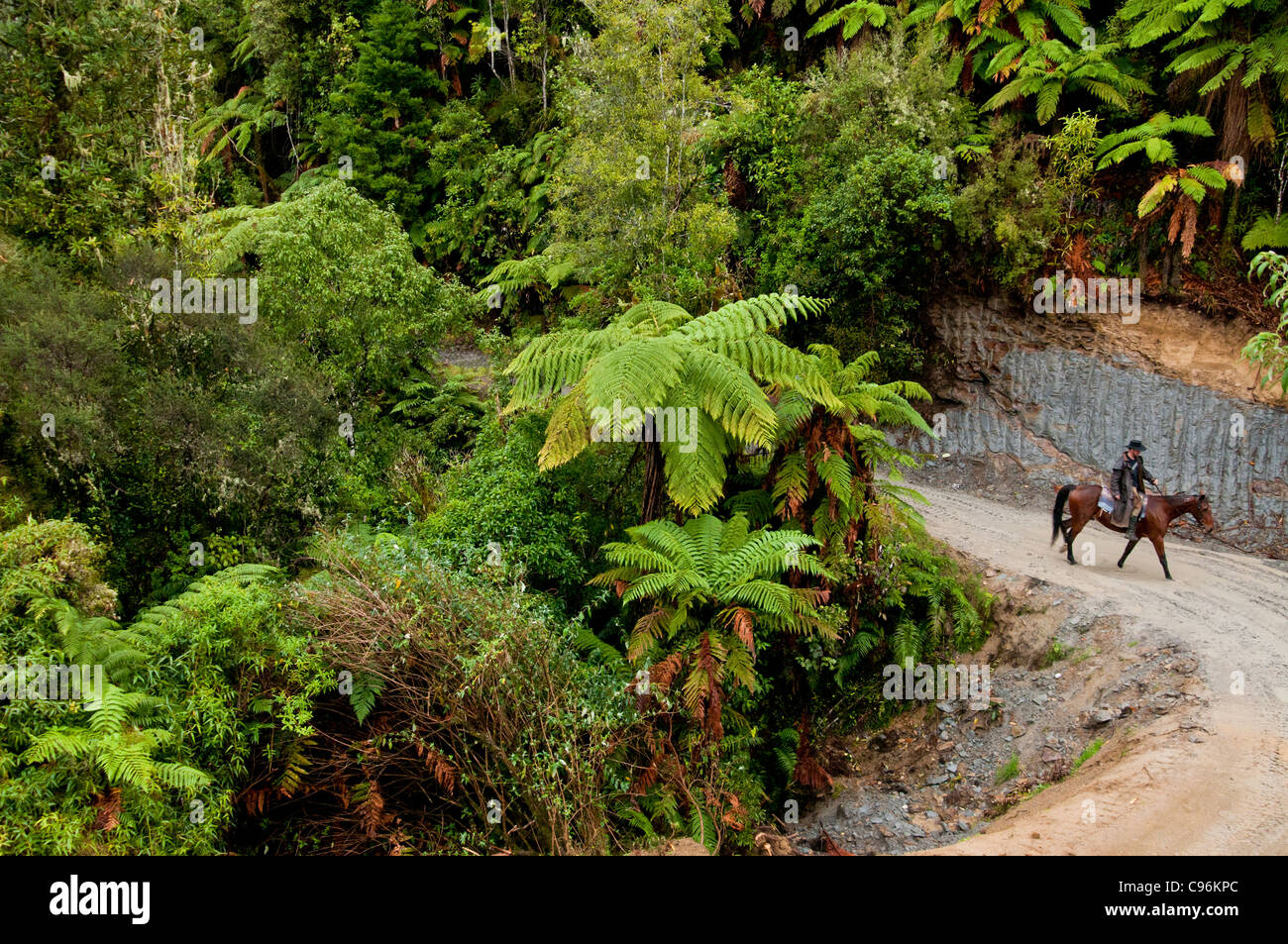 Man riding duck hi-res stock photography and images - Alamy