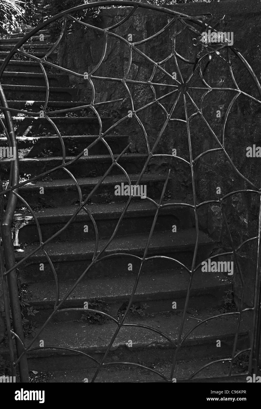 Spider web gate hi-res stock photography and images - Alamy