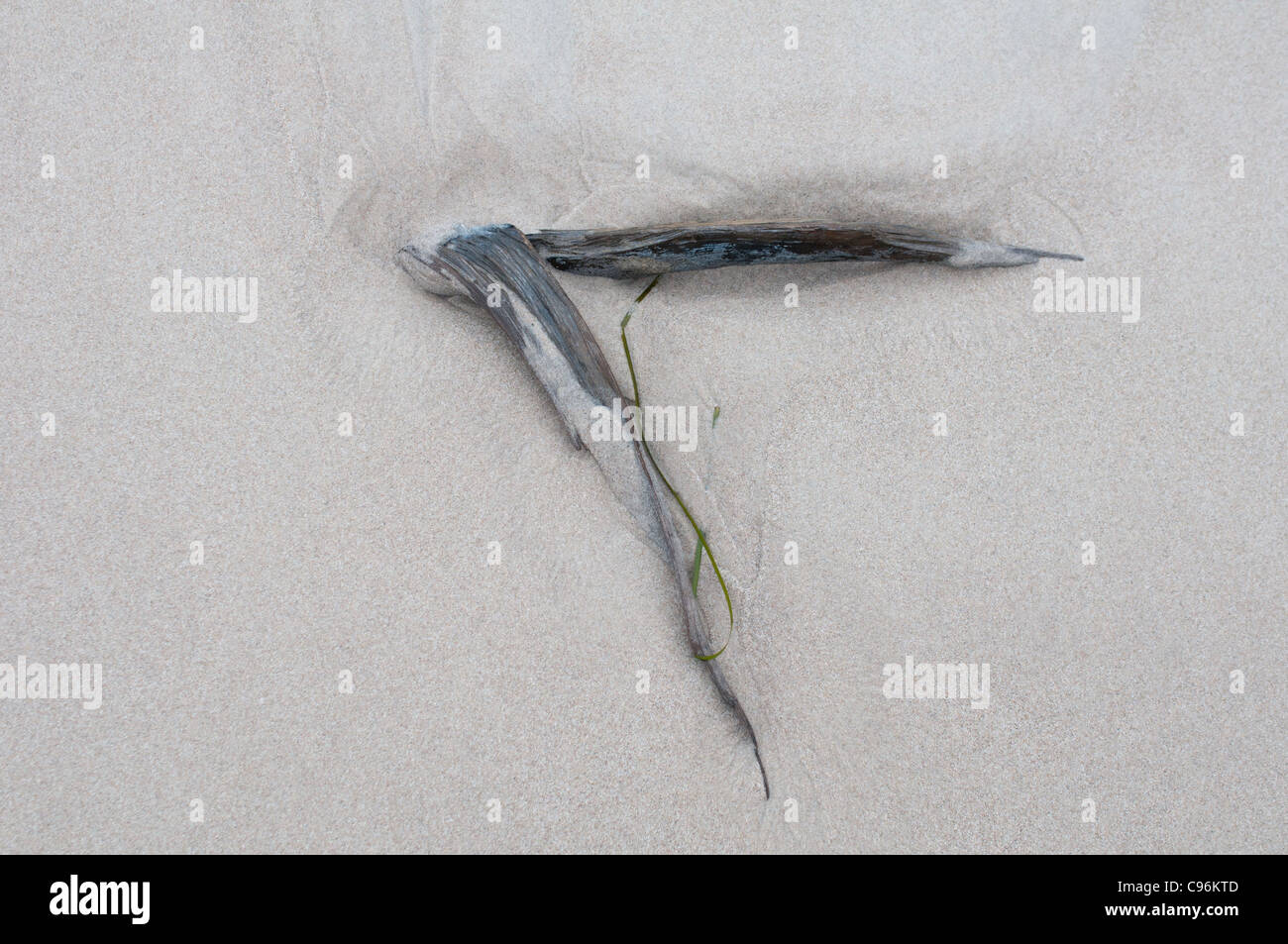 Seaweed in the sand on the beach Stock Photo - Alamy