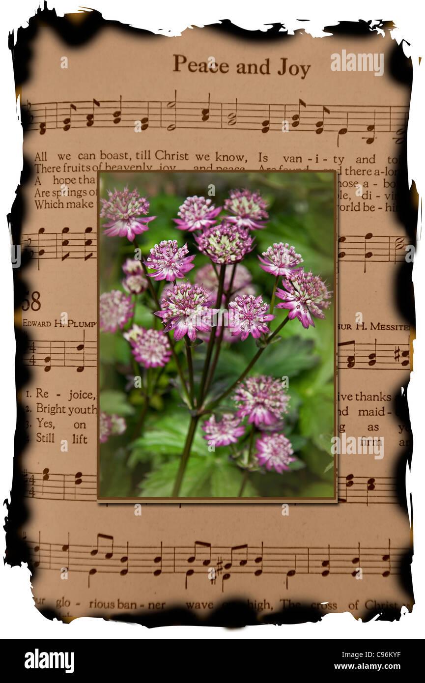 Hym to joy hi-res stock photography and images - Alamy