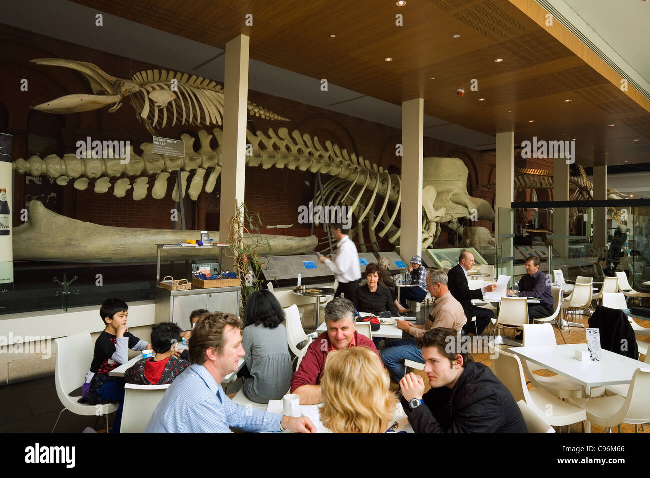 Musuem of natural history High Resolution Stock Photography and Images ...