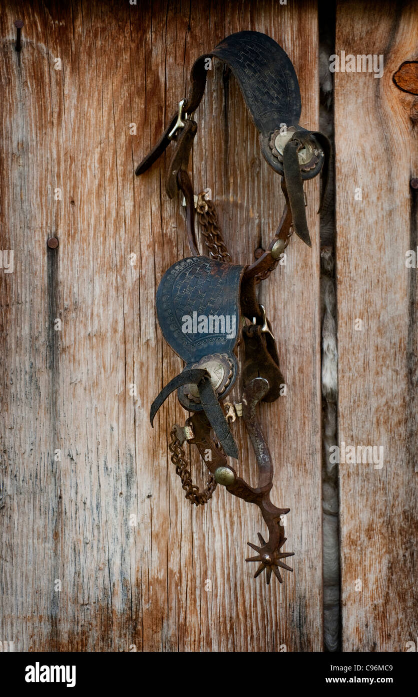 Antique spurs hang in the barn of a horse outfitter in the Methow ...