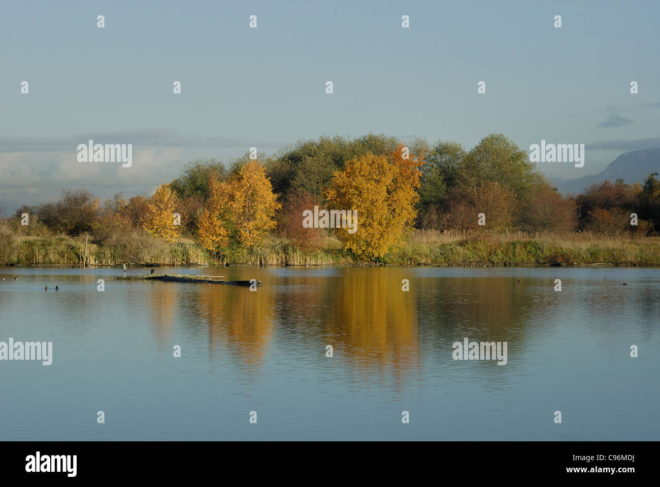 Ladner bc hi-res stock photography and images - Alamy