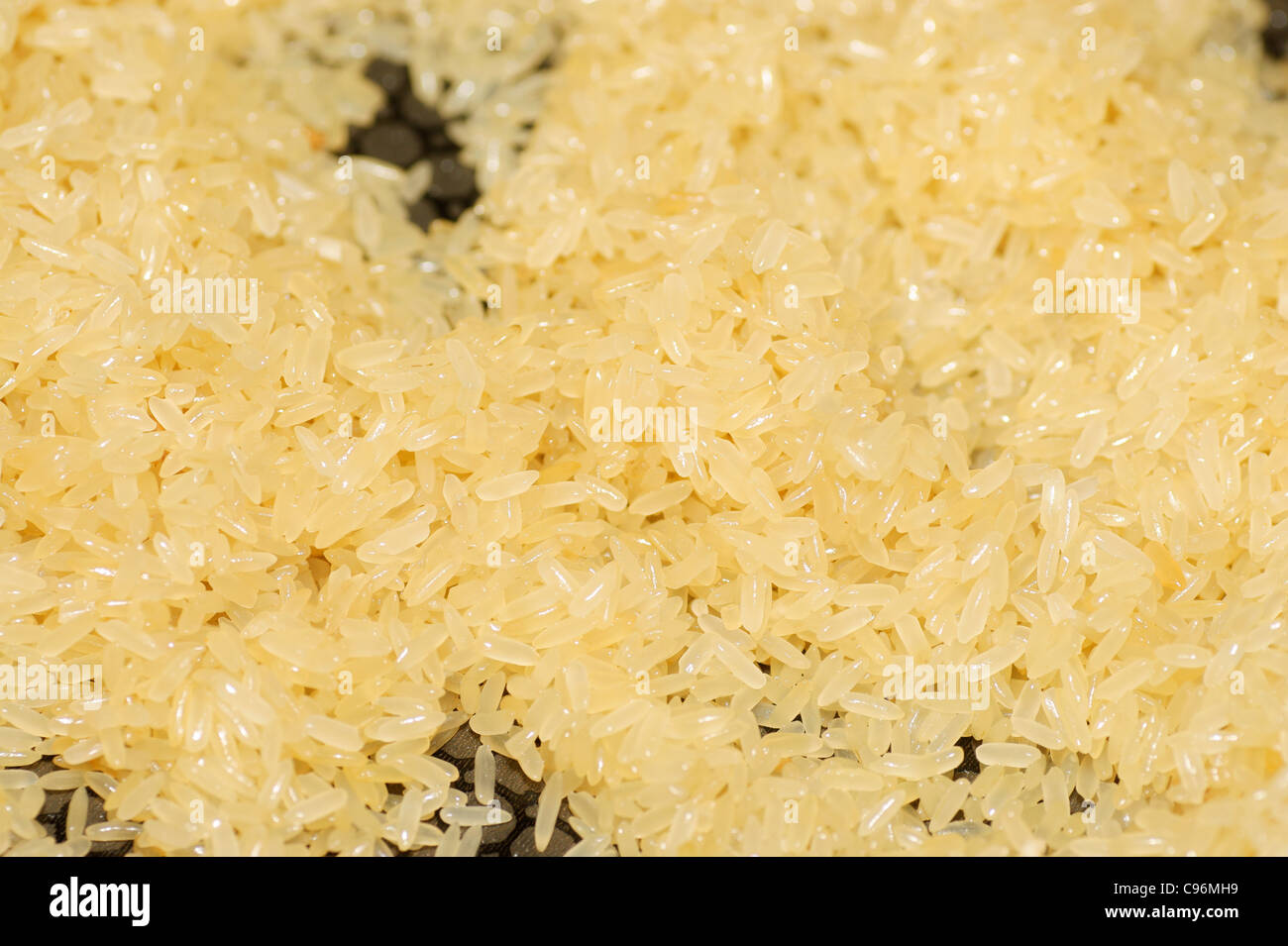 rice on frying pan, skillet Stock Photo - Alamy