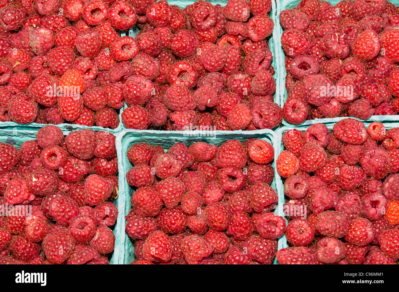 Freshly picked red raspberries on display in containers at the farmer's ...