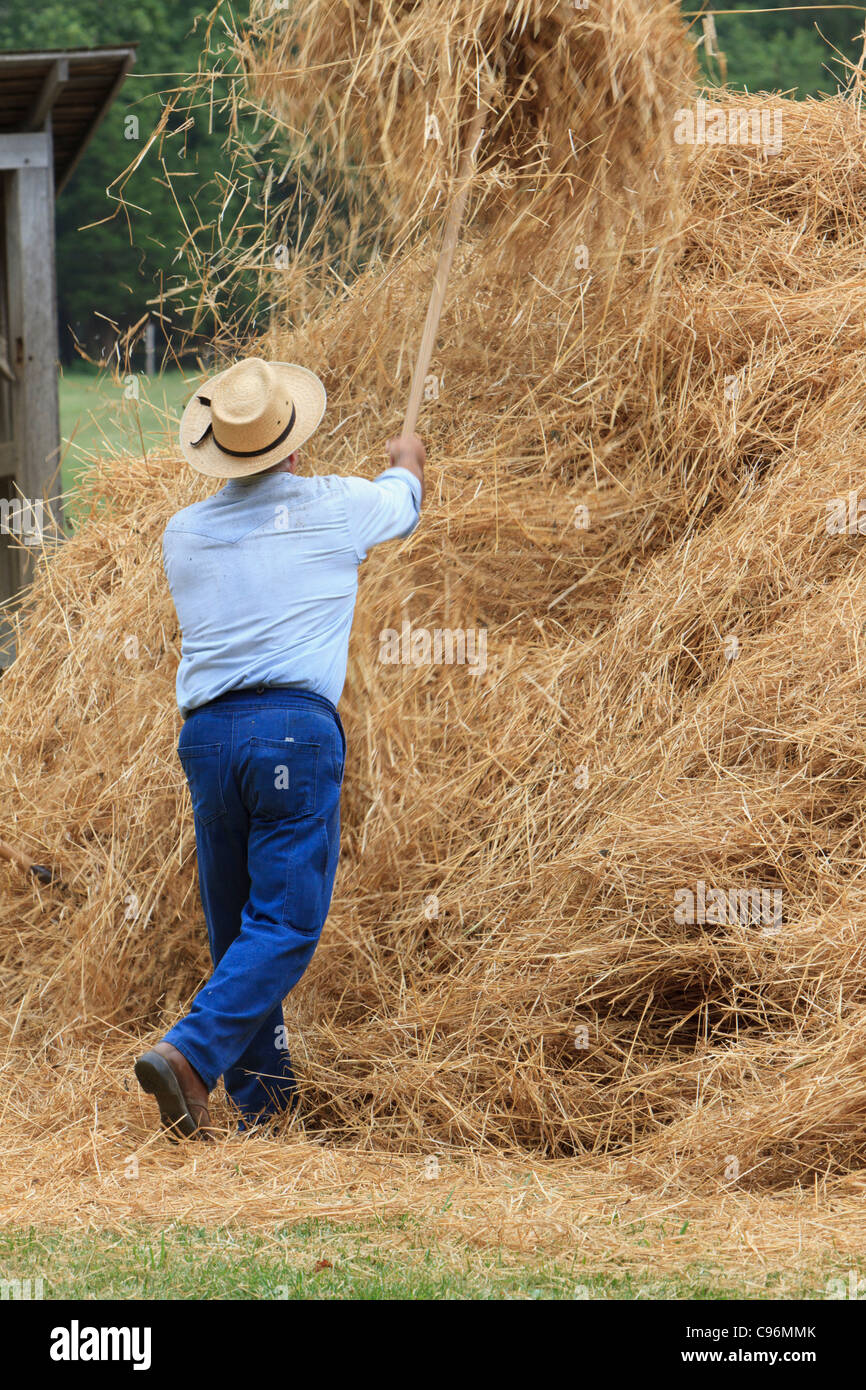 Man stacking straw on farm Stock Photo - Alamy