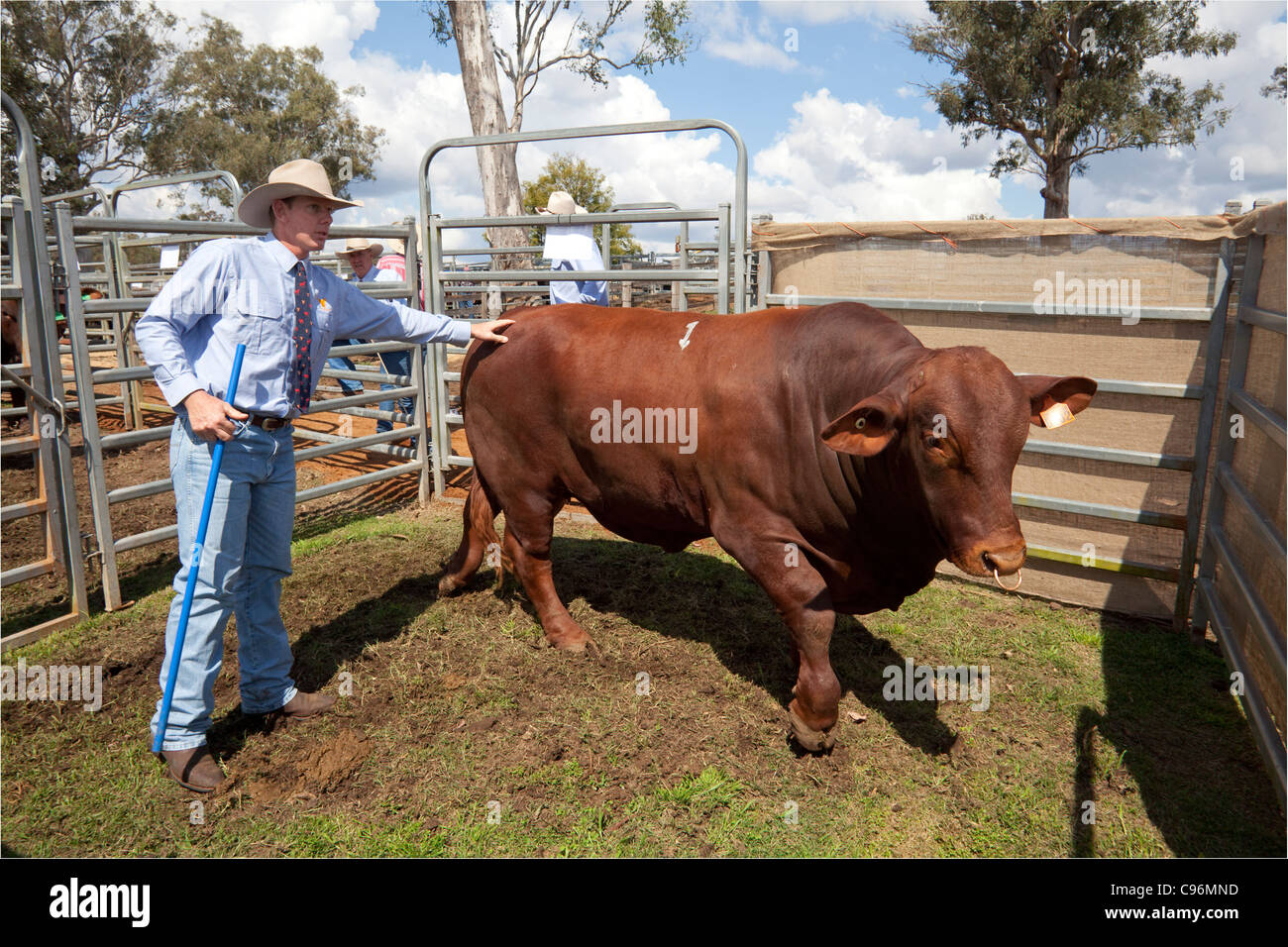 Cattleman hi-res stock photography and images - Alamy