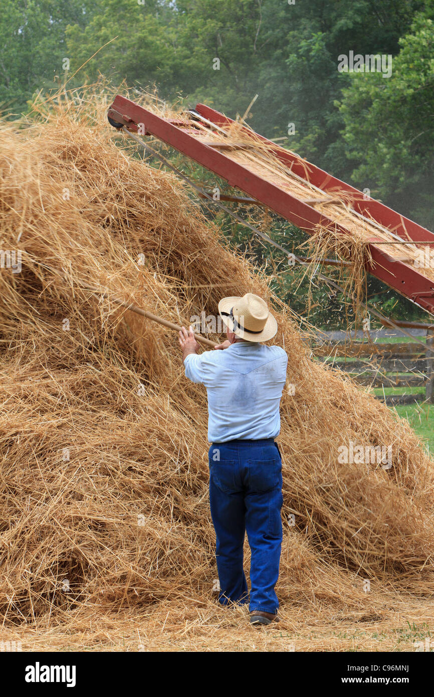 Man stacking straw on farm Stock Photo - Alamy