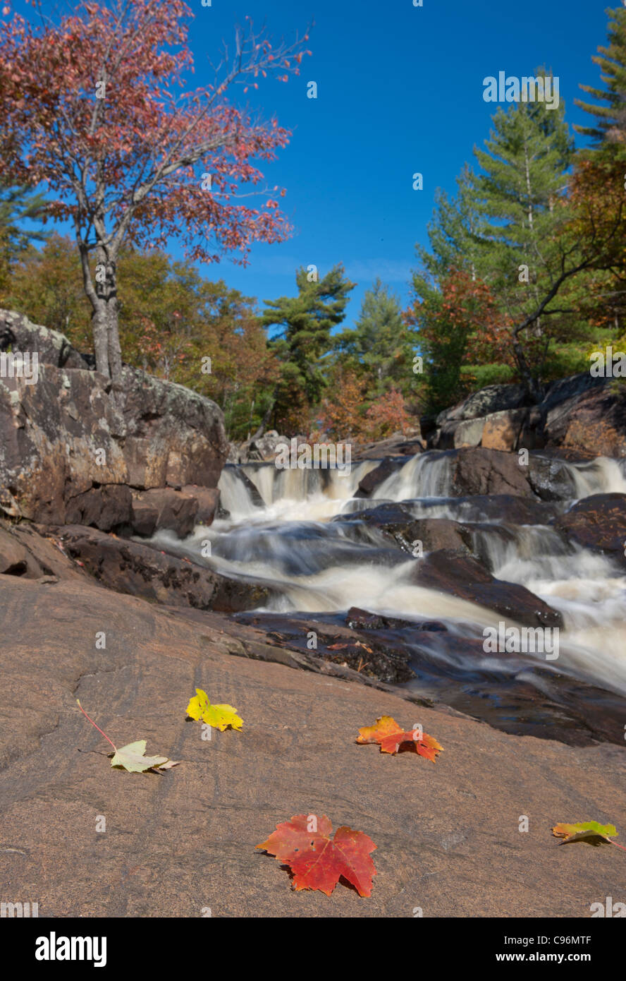 Colors of Autumn Stock Photo - Alamy
