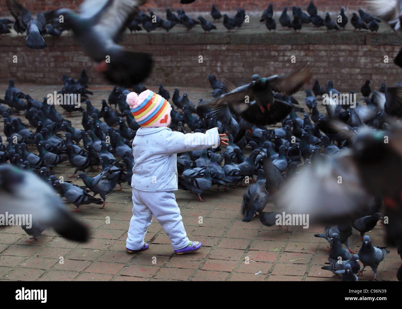 Nepali girl trying to catch pigeons Durbar square Kathmandu Nepal Stock ...