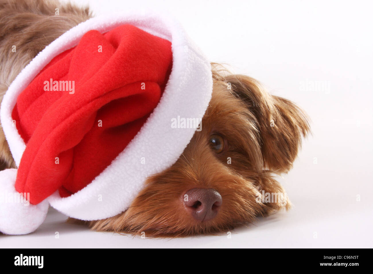 Hat sad Cut Out Stock Images & Pictures - Alamy