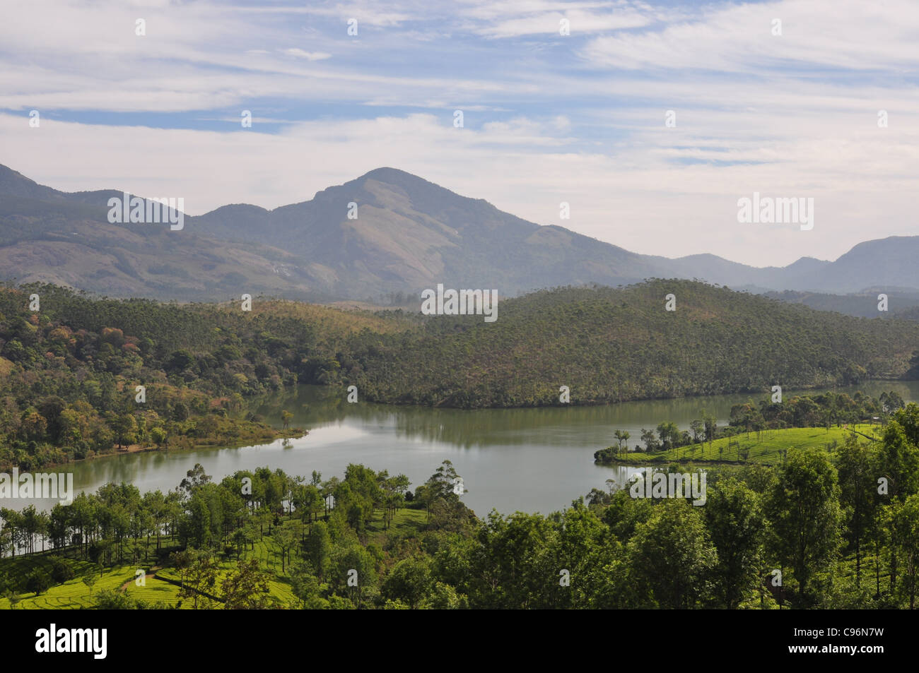 scenic view of Munnar in Kerala, India Stock Photo - Alamy
