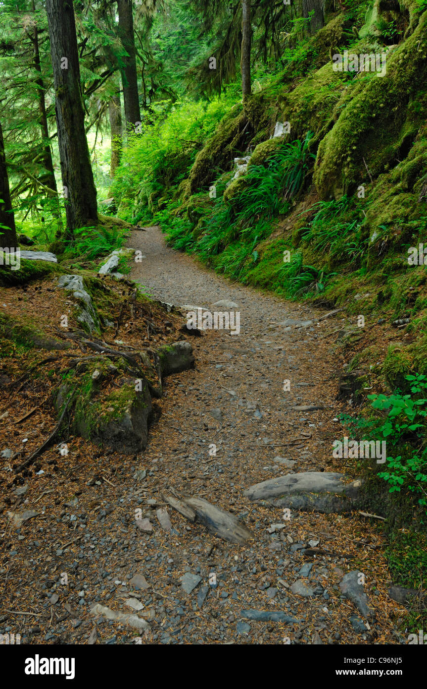 Middle fork snoqualmie river trail hi-res stock photography and images ...