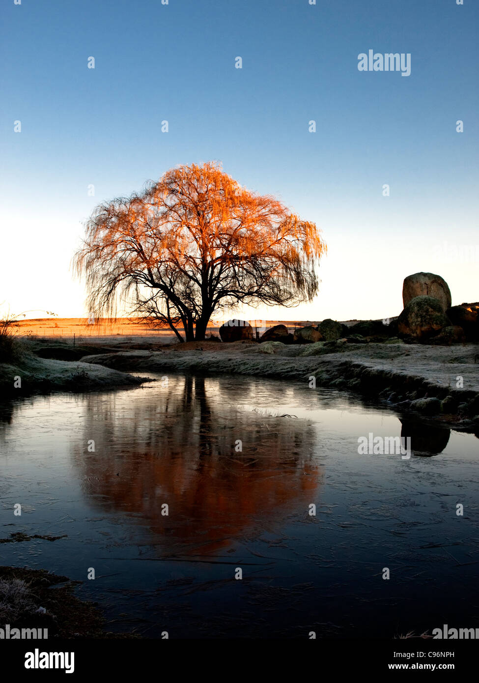 Near Berridale, Snowy Mountains, NSW, Australia. Winter dawn Stock ...