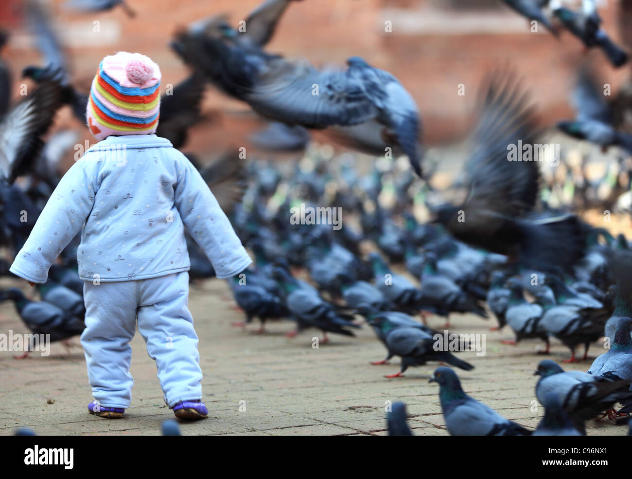 Nepali girl trying to catch pigeons Durbar square Kathmandu Nepal Stock ...