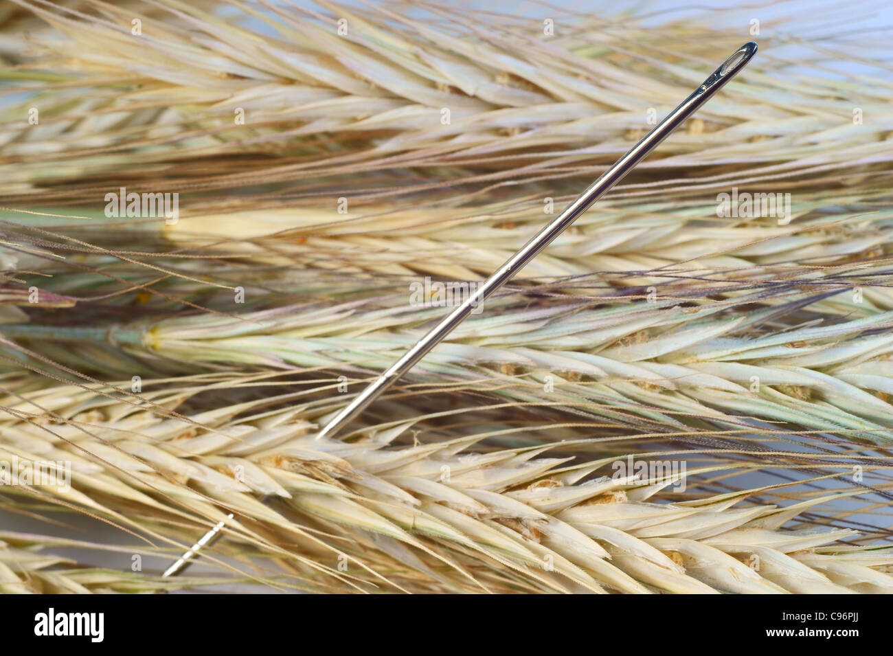 Needle in a haystack concept hi-res stock photography and images - Alamy