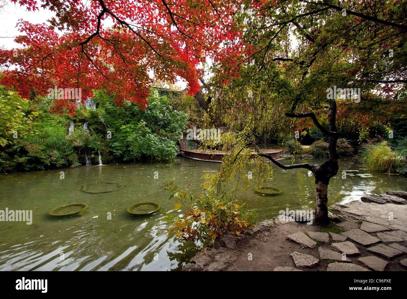 Beautiful autumn trees in Japanese garden Stock Photo - Alamy