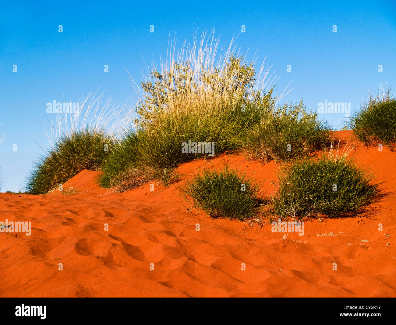 Northern territory nt hi-res stock photography and images - Alamy